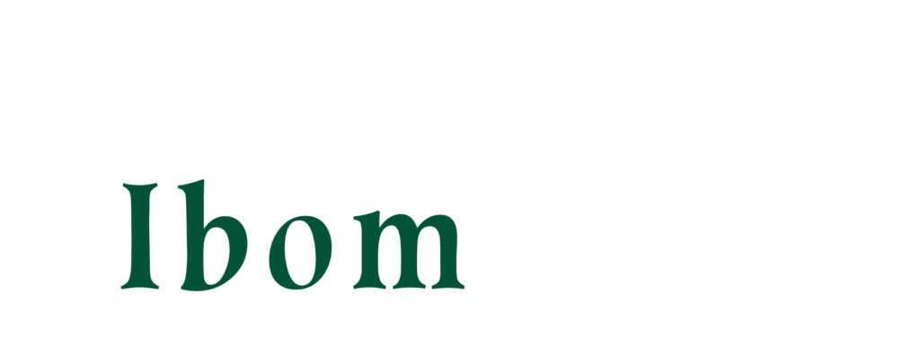 Ibom Air – A New Experience